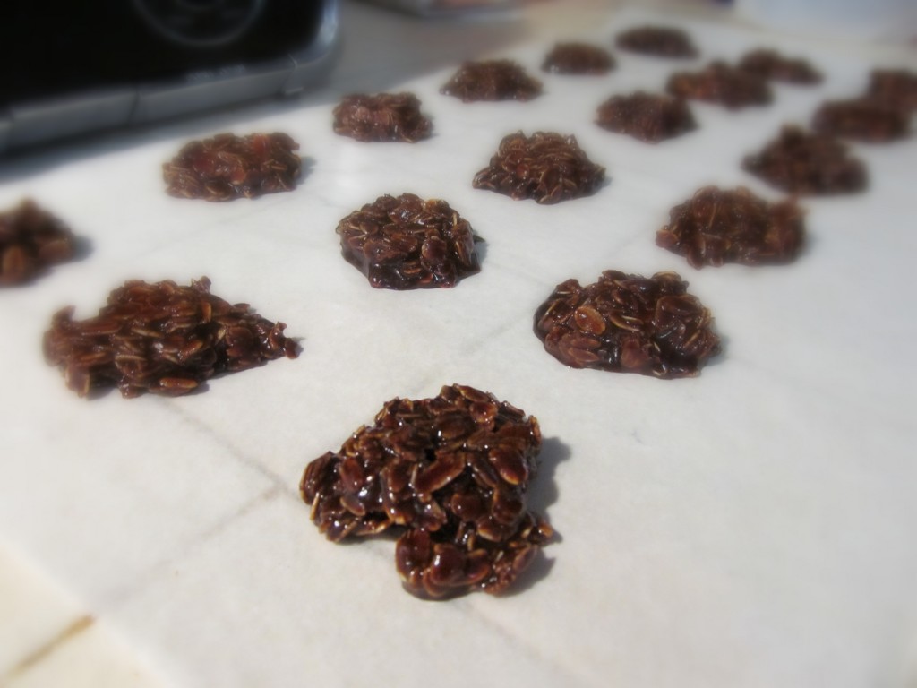 Easy Chocolate No Bake or Boil Cookies – Redberrydeals
